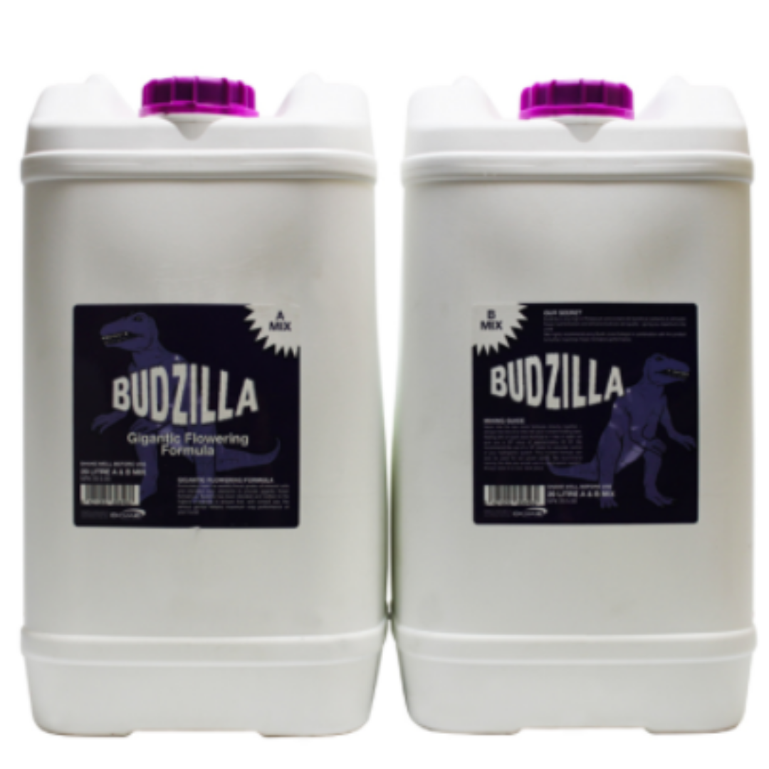 Budzilla A & B